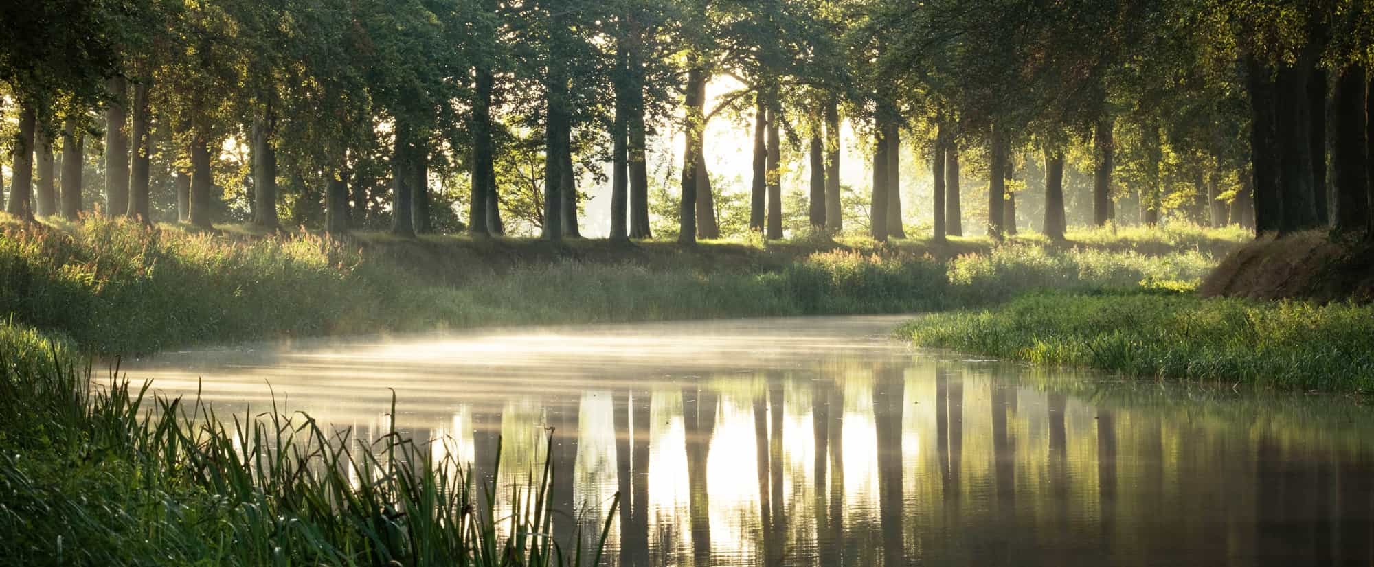 Erve Protzmann | Uw vakantiehuis omgeven van natuur en rust.